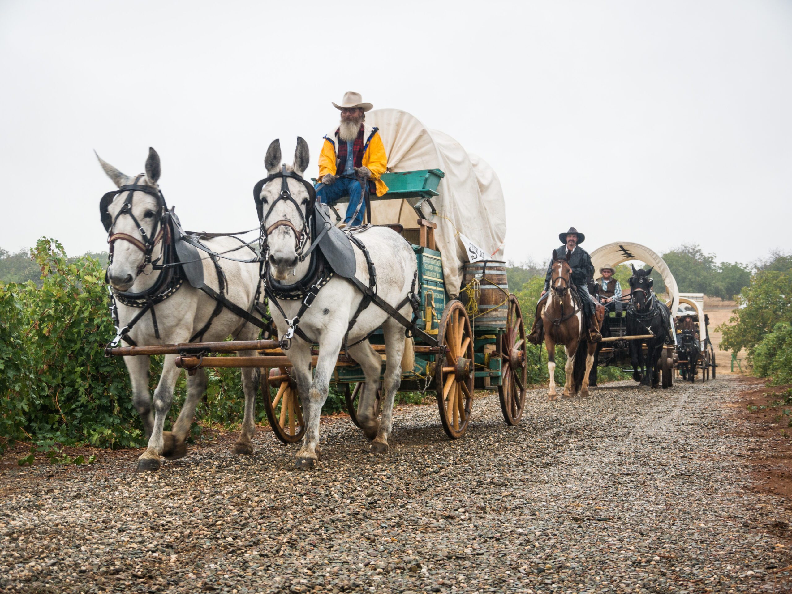 Wagon Train | Days of 49